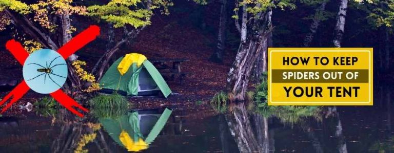 How To Keep Spiders Out Of Your Tent? 5 Actionable Solutions